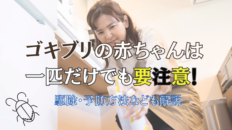 ゴキブリの赤ちゃんを見つけたら？1匹だけでも要注意！駆除と対策を解説 | ゼヒトモ